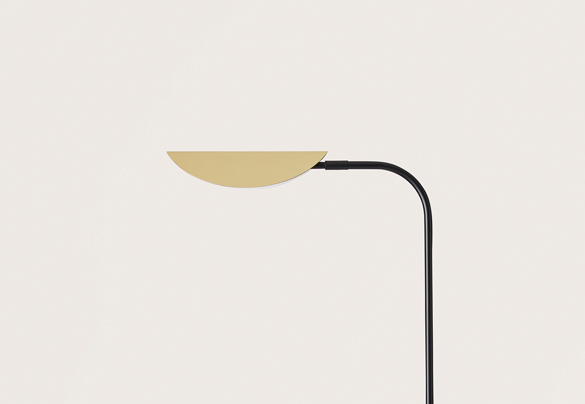 Ficus Desktop » Amuebla Rent